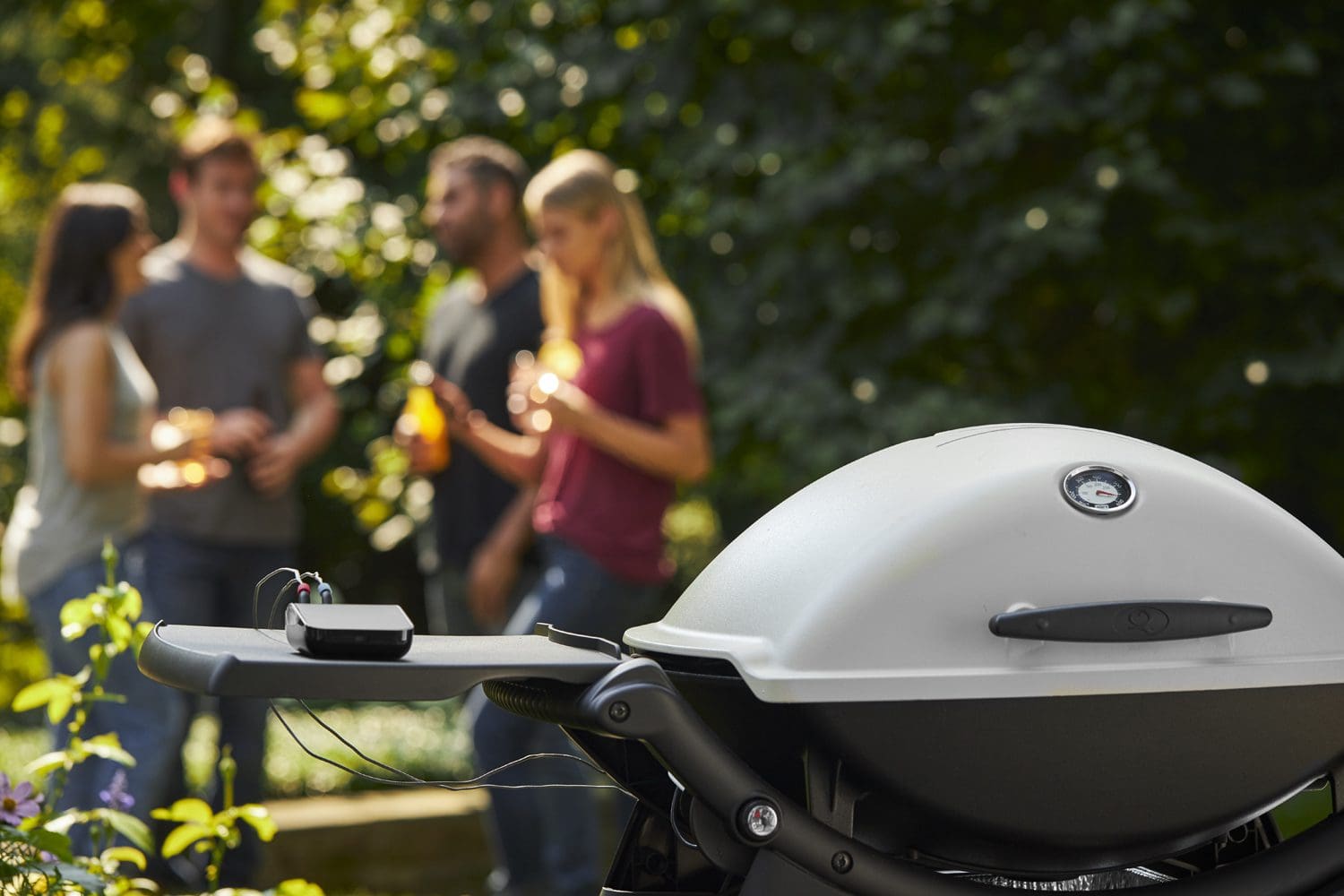 Weber Q 2200 Portable Gas Grill - Sutter Home & Hearth